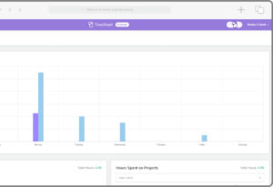 Time Tracking App Case Study | TimeSheet Global